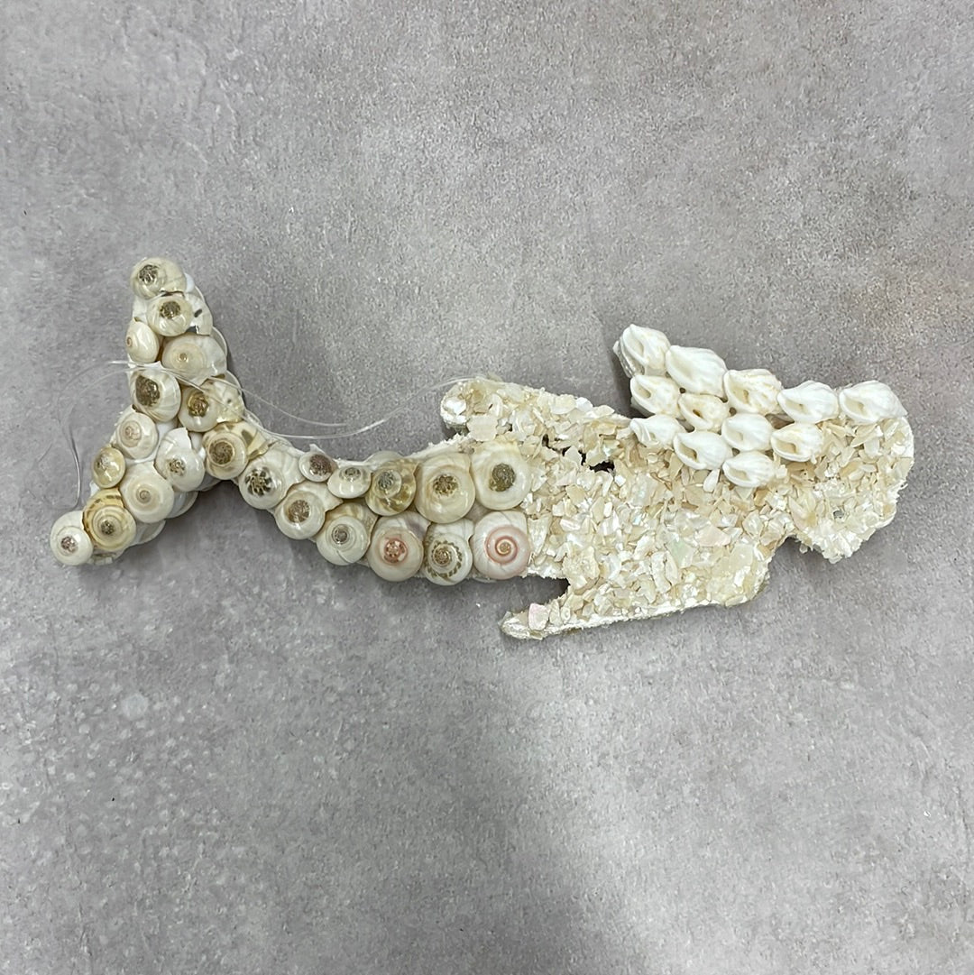 Shell Mermaid – Capt. Stacy
